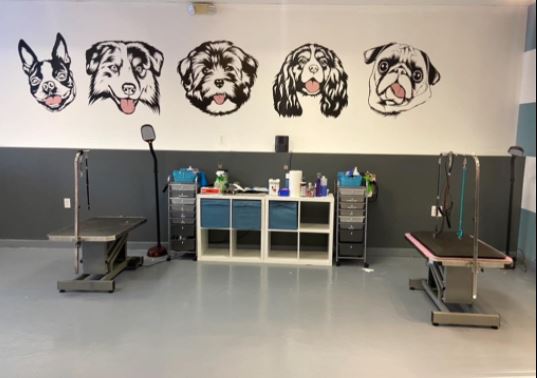 Dawgs and Paws Opens in Silver Spring - The MoCo Show