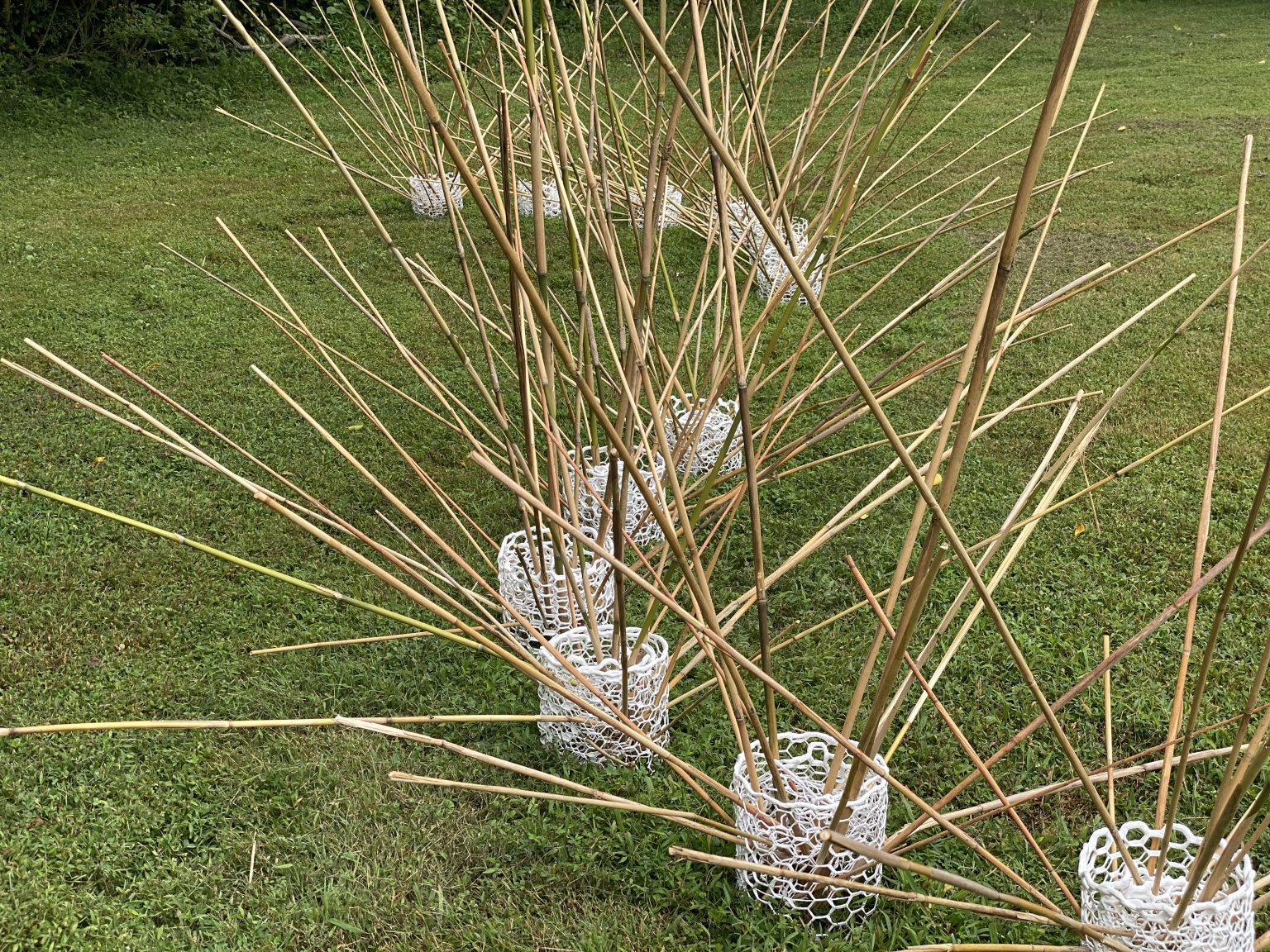 Outdoor Sculpture Garden at Sandy Spring Museum Opens August 4th - The ...