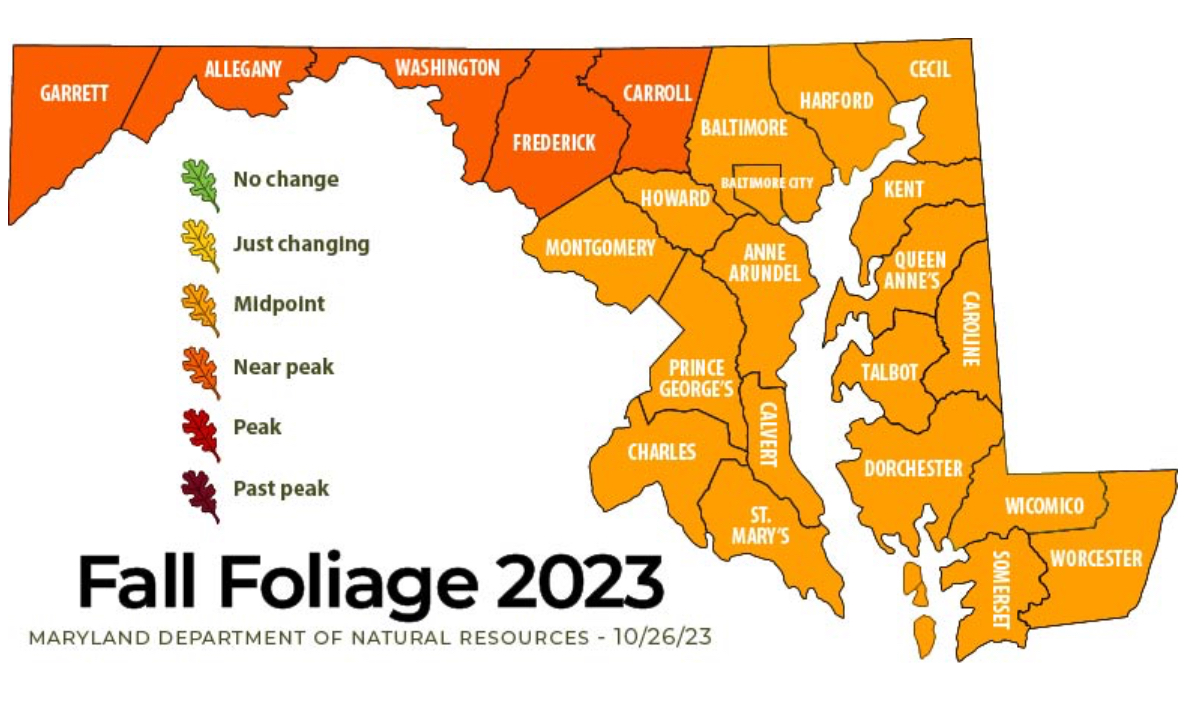 This Week’s Maryland Fall Foliage Report - The MoCo Show