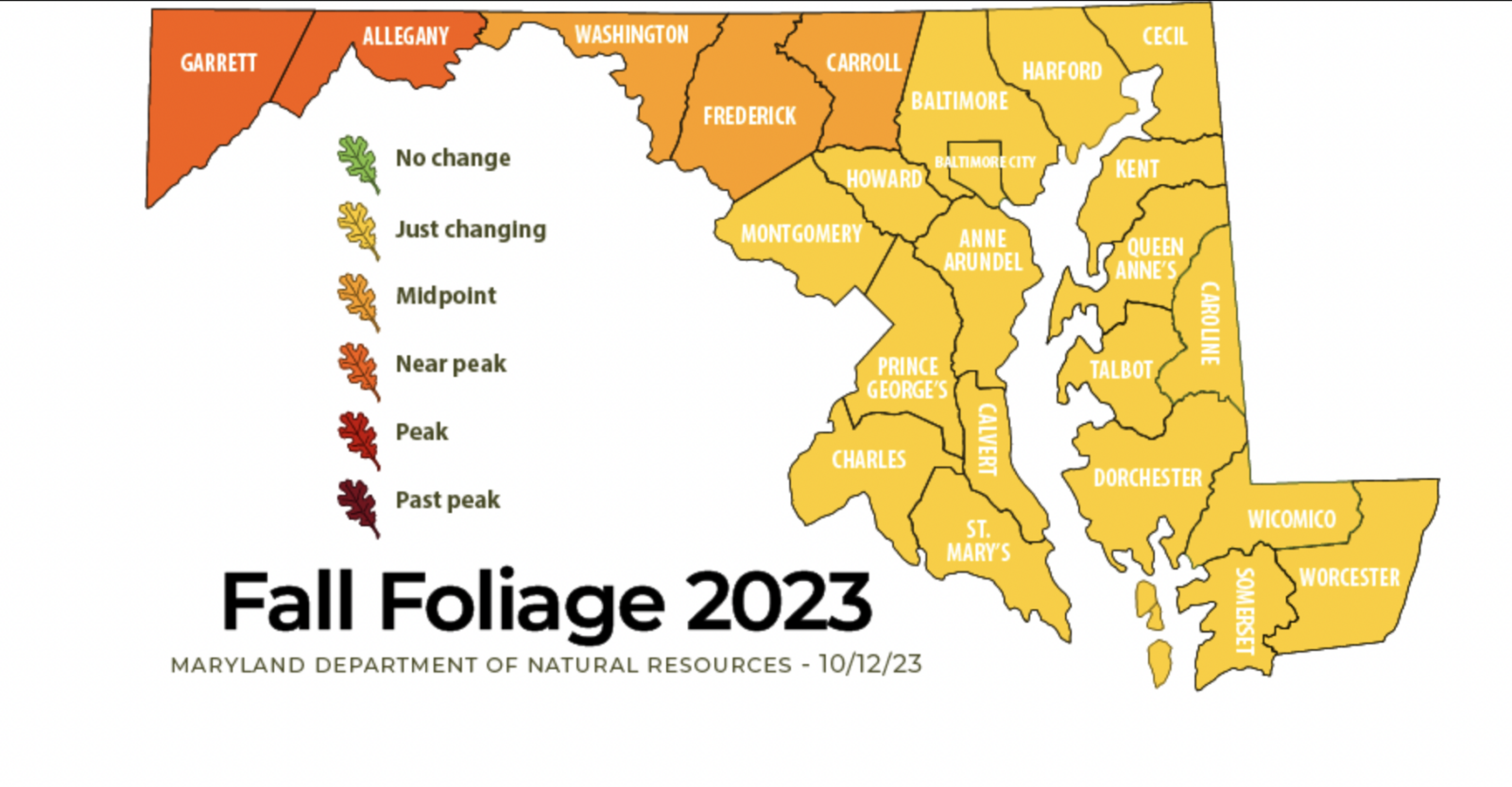 This Week's Maryland Fall Foliage Report - The MoCo Show