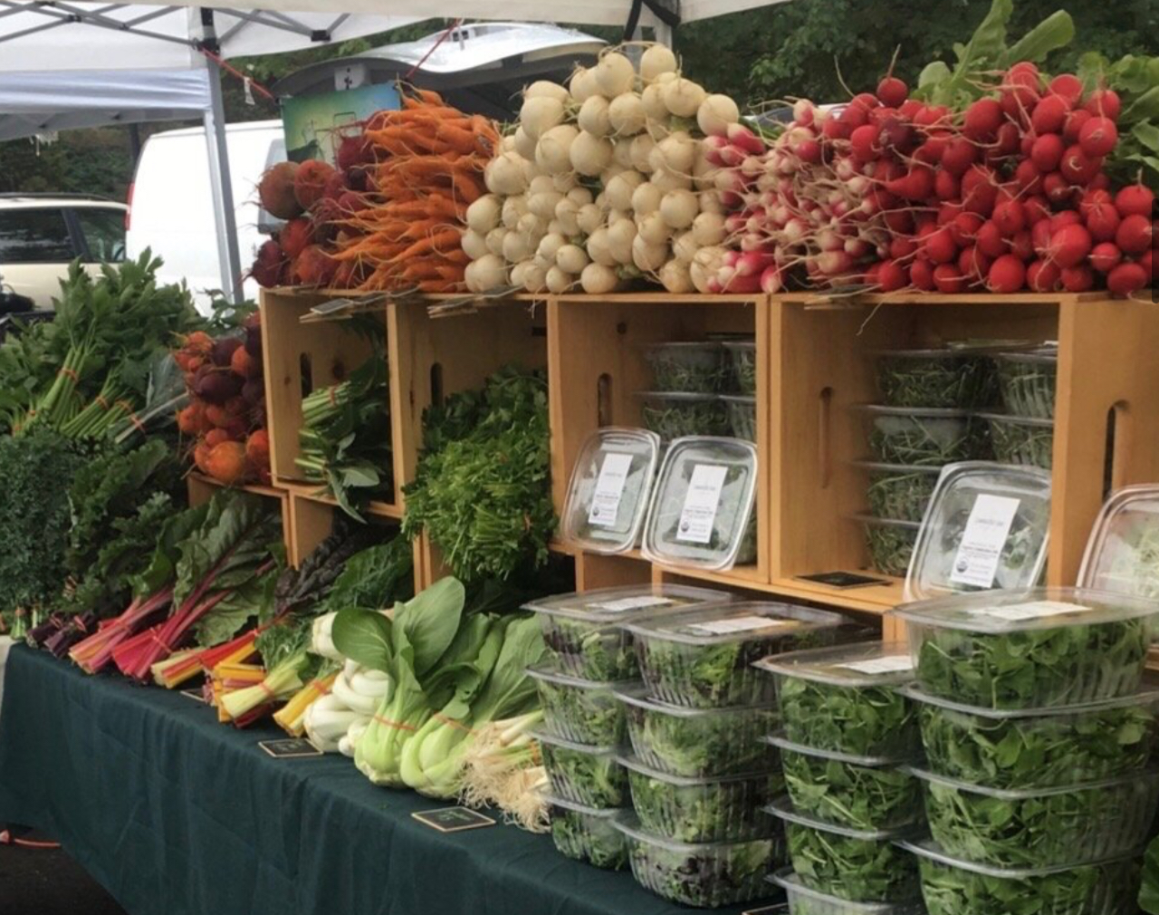 Local Nonprofit Starts “Veggie Drive” to Bring Healthy Produce to ...