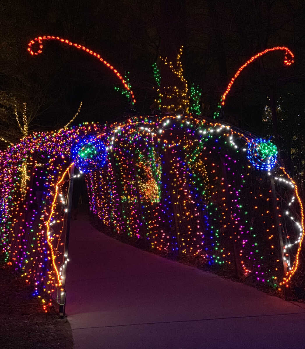 Garden of Lights Winter Lights Display Opens Friday, November 17, at ...