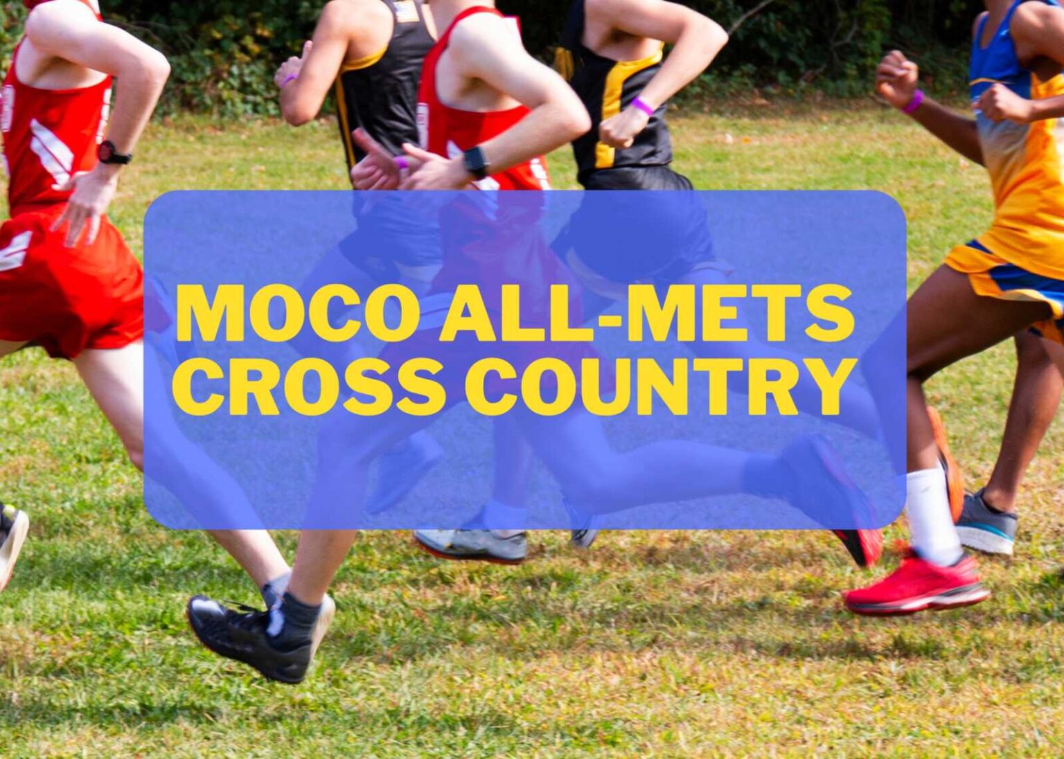 MoCo Fall All-Mets: Cross Country - The MoCo Show