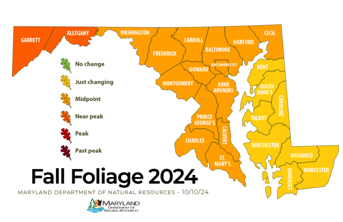 Maryland’s Fall Foliage Report For This Week - The MoCo Show