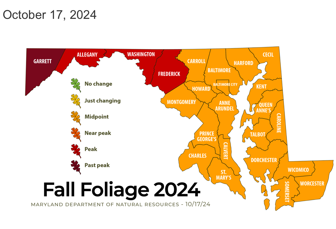 Most of Maryland Nears Peak Fall Foliage - The MoCo Show