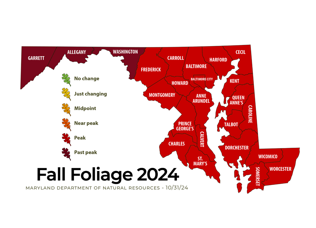Maryland Hits Peak Fall Foliage - The MoCo Show