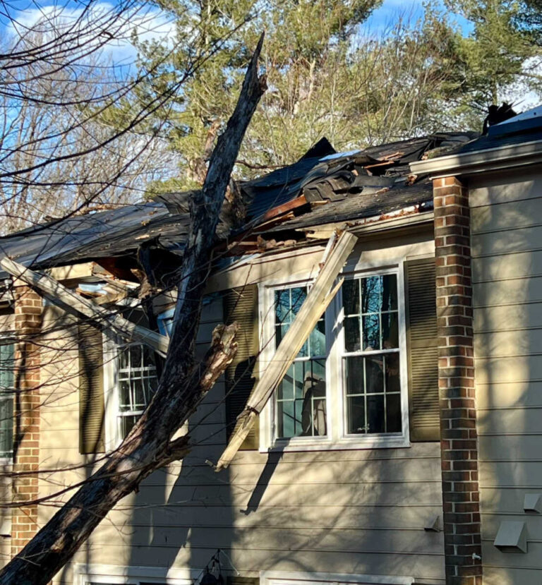 Tree Falls Through Roof of Occupied Bedroom; Multiple Calls of Downed ...