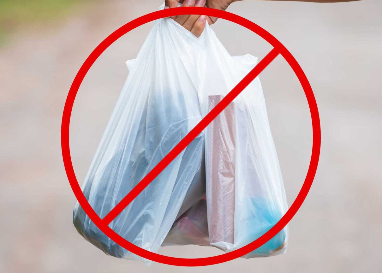 Plastic Bags Banned Starting January 1, 2026 - The MoCo Show