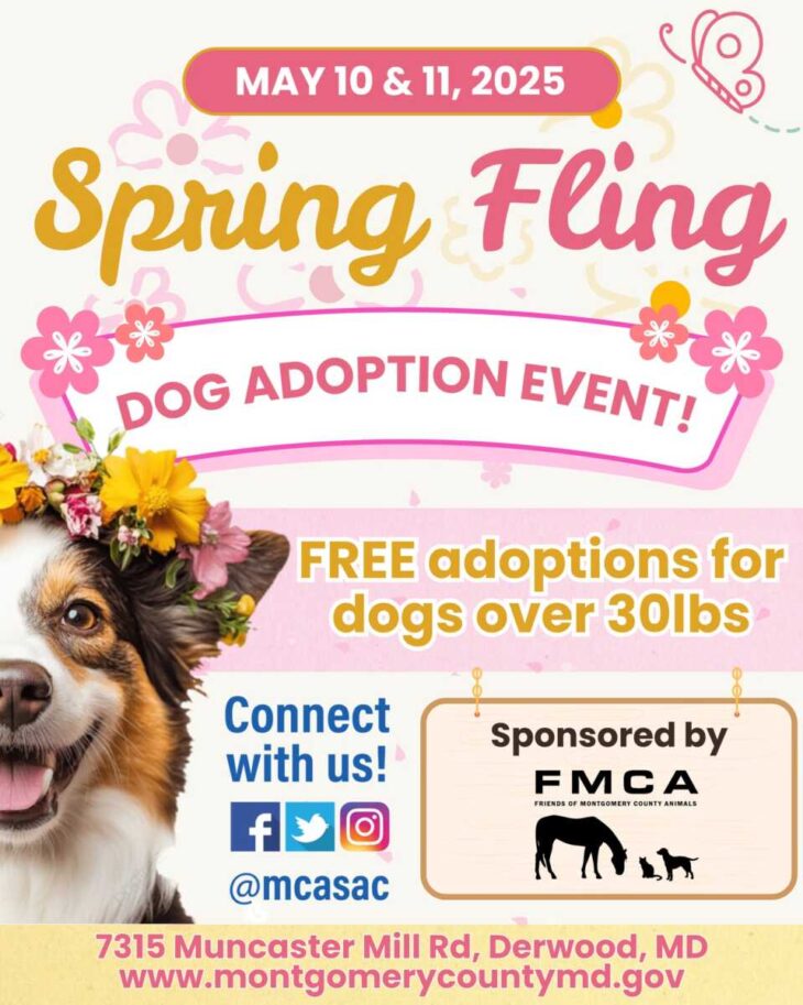 Montgomery County Hosts Free Dog Adoption Event as Shelter Faces ...