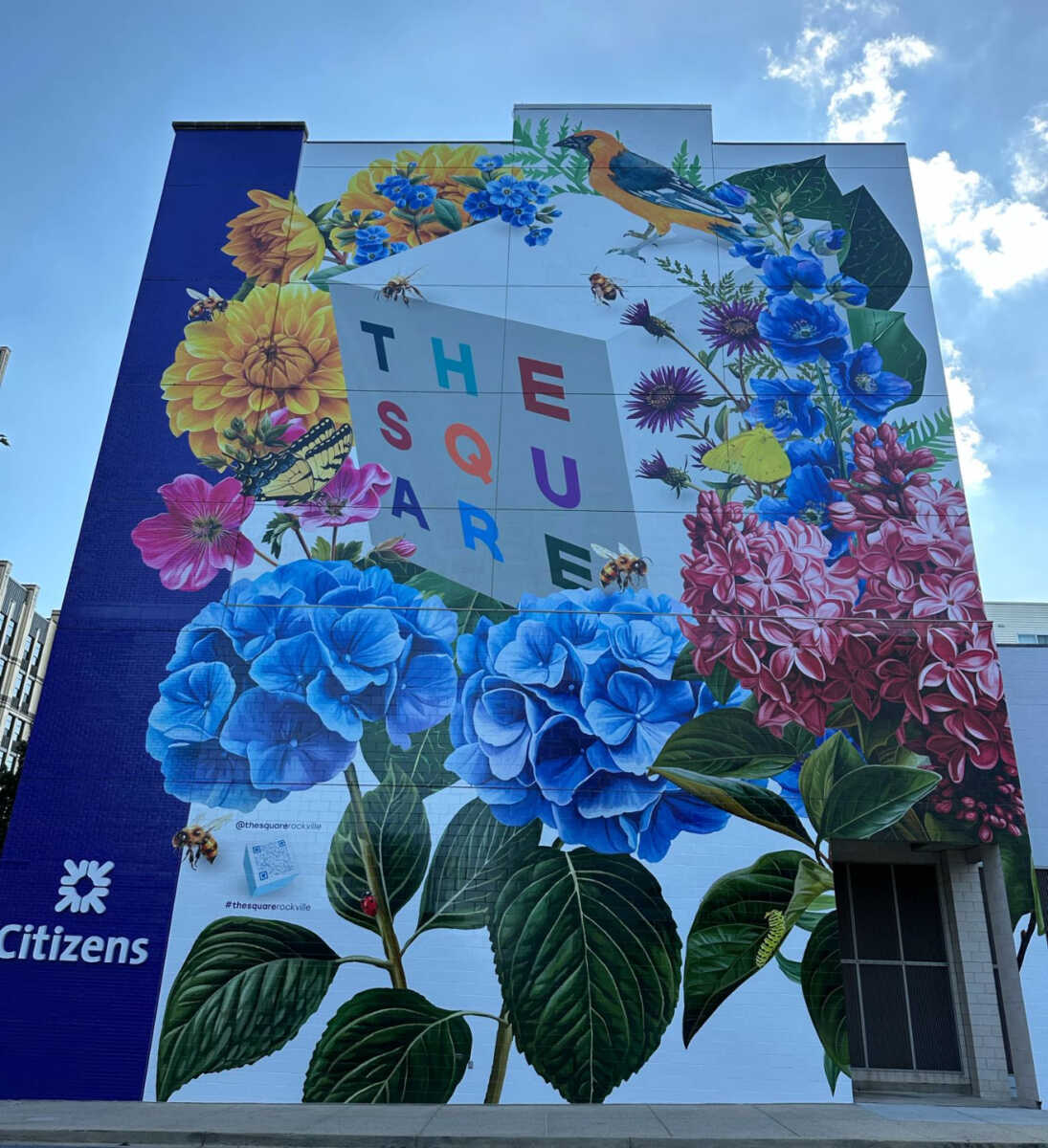 Vibrant New Murals Signal Transformation of 'The Square' in Rockville ...