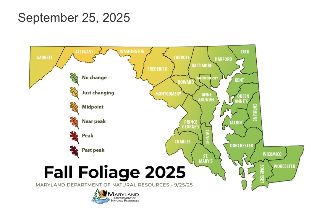 Maryland Fall Foliage Report for Sept. 25 - The MoCo Show
