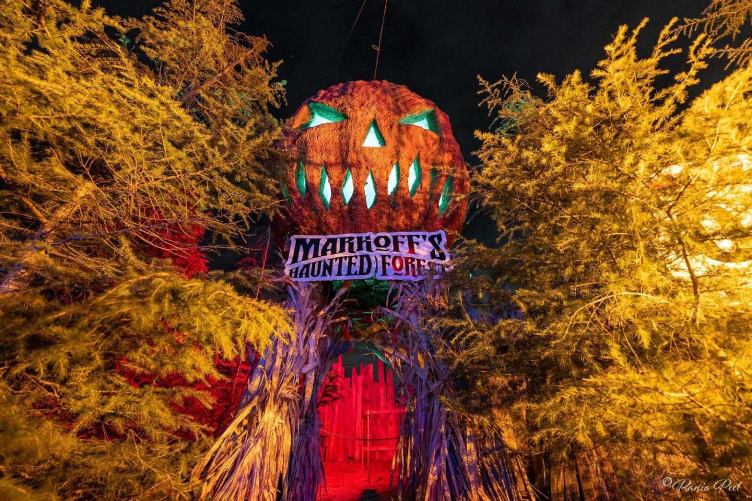 Maryland’s Markoff’s Haunted Forest Ranked #1 Haunted Attraction in the ...