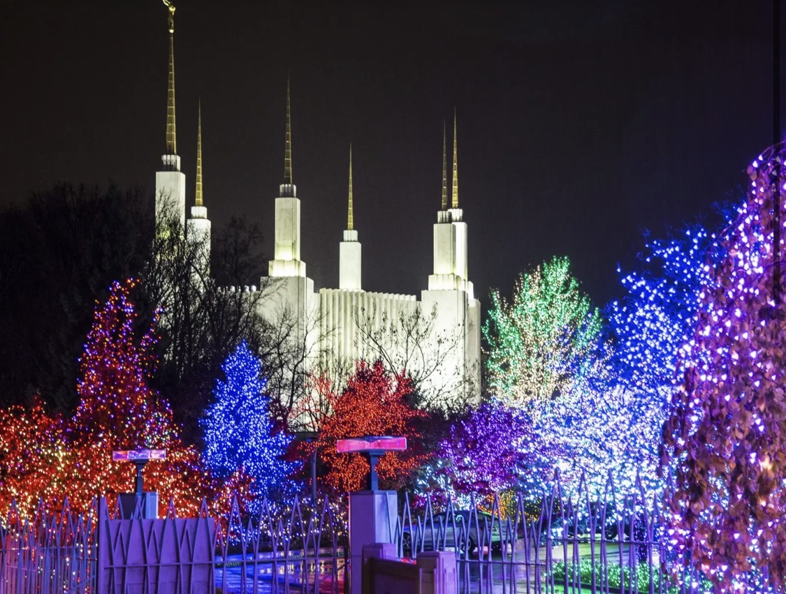 48th Annual Festival of Lights Returns to Kensington’s Washington D.C ...
