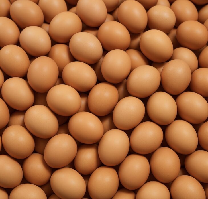 Theft of 720 Eggs Leads Police to Stolen Car, Narcotics, and Multiple ...