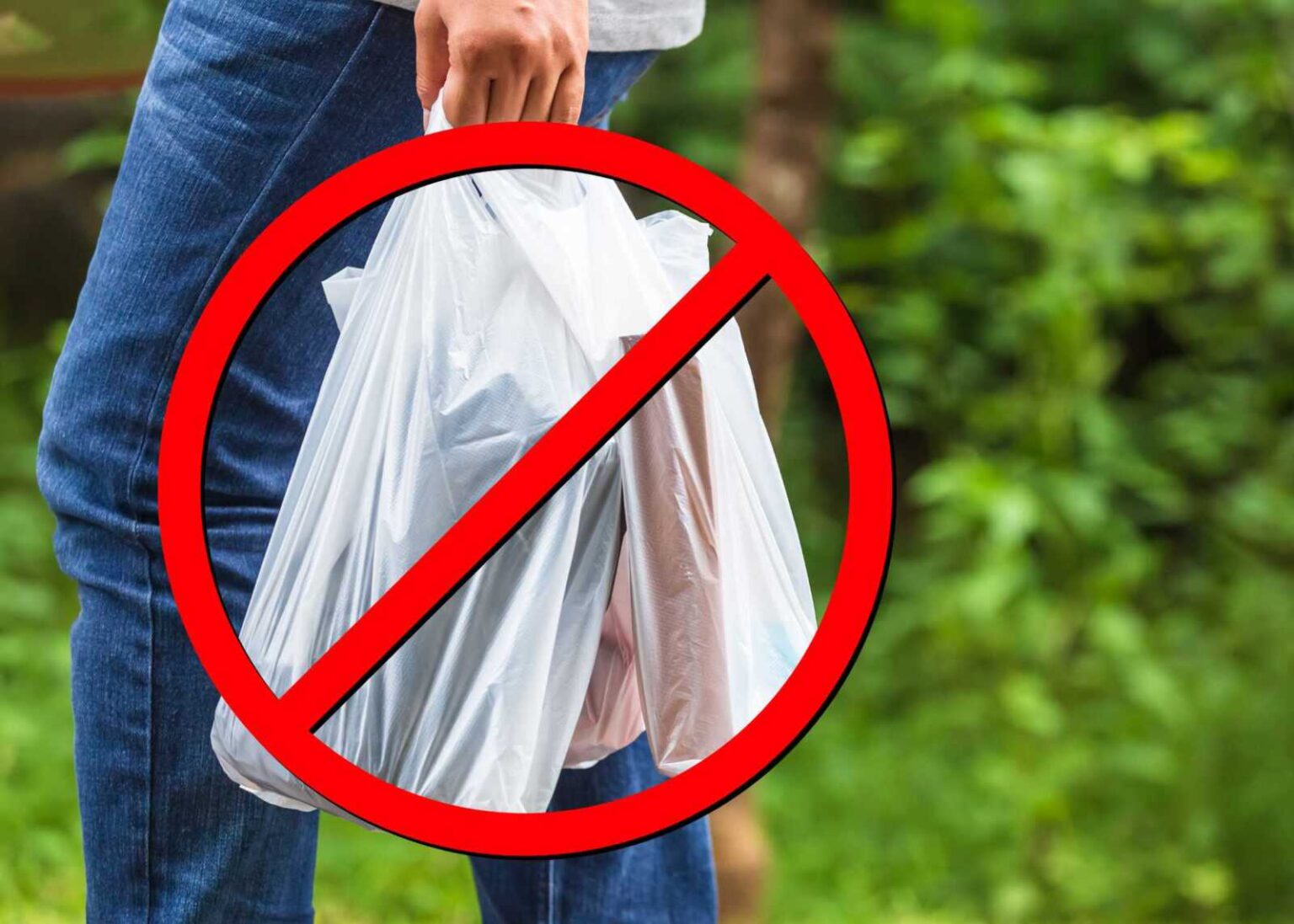 Plastic Bag Ban Begins January 1, 2026 in Montgomery County - The MoCo Show