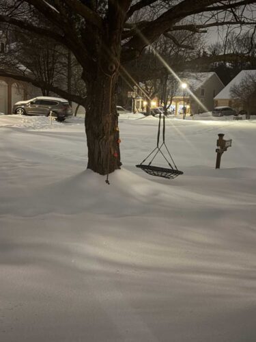 Updated Snow/Sleet Totals Across Maryland and Virginia - The MoCo Show