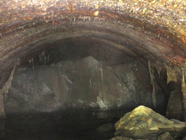 Sewer Collapse Cleanup Extended After Major Blockage Found in Potomac ...