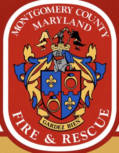 Woman Killed By Falling Tree Thursday Night - The MoCo Show